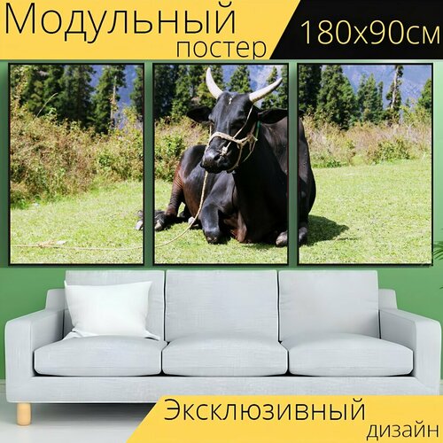 Модульный постер "Животные, корова, черная корова" 180 x 90 см. для интерьера