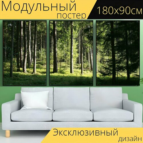 Модульный постер "Лес, деревья, зеленый" 180 x 90 см. для интерьера