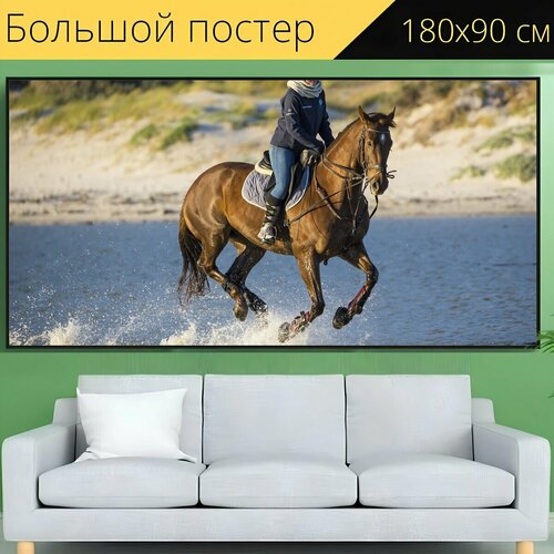 Большой постер "Лошадь, верховая езда, животное" 180 x 90 см. для интерьера