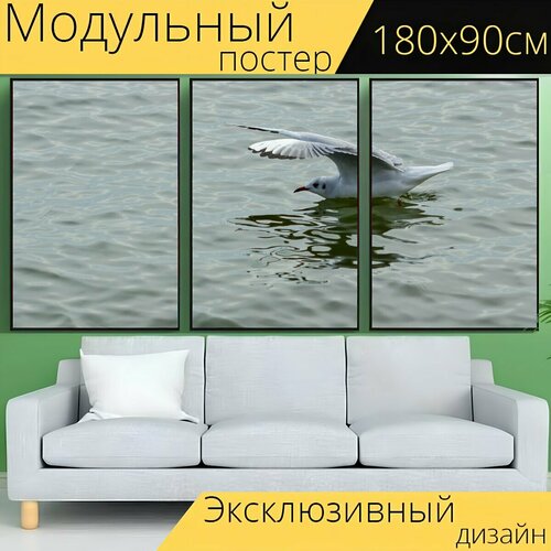 Модульный постер "Чайка, посадка, озеро" 180 x 90 см. для интерьера