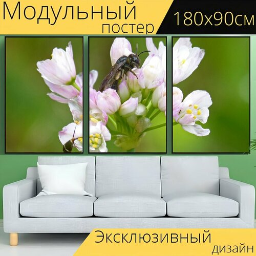 Модульный постер "Цветок, цветок чеснока, пчела" 180 x 90 см. для интерьера