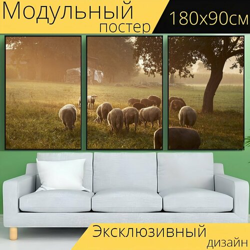 Модульный постер "Овец, трава, сельское хозяйство" 180 x 90 см. для интерьера