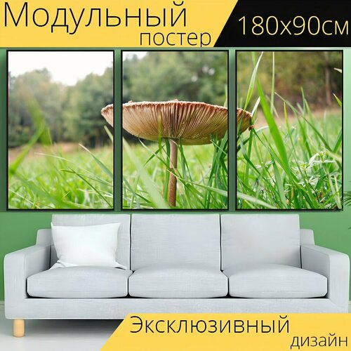 Модульный постер "Экран грибок, гриб, лес" 180 x 90 см. для интерьера