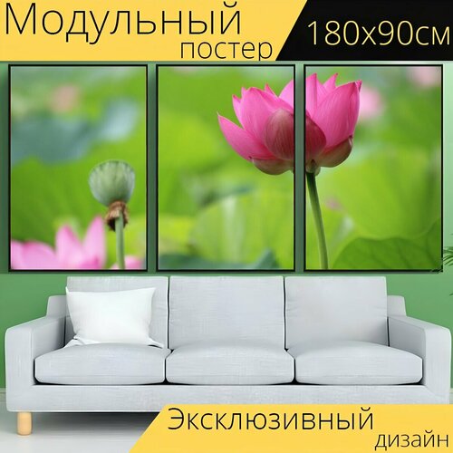 Модульный постер "Цветы, лотос, стручок семян" 180 x 90 см. для интерьера