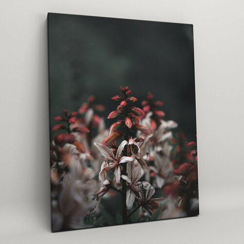 Картина на холсте (интерьерный постер) "Белые полевые цветы" растения, с деревянным подрамником, размер 30x40 см