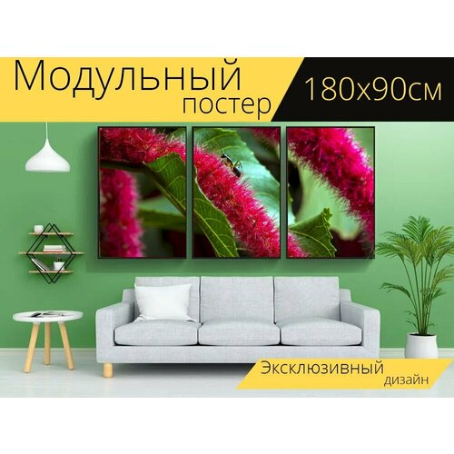 Модульный постер "Сахар ант, красный цветок, сад" 180 x 90 см. для интерьера