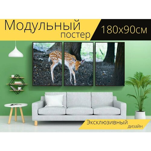 Модульный постер "Красный олень, косуля, лес" 180 x 90 см. для интерьера