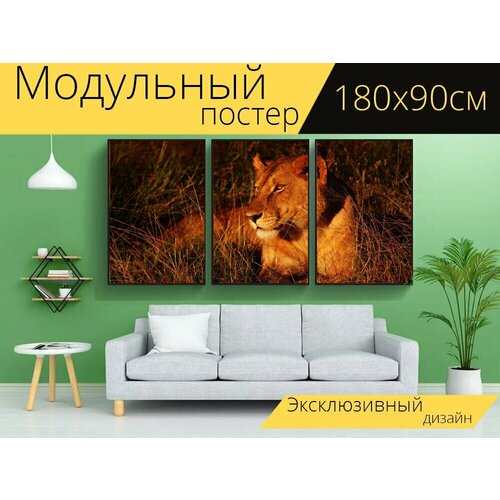 Модульный постер "Львица, лежа, большой кот" 180 x 90 см. для интерьера