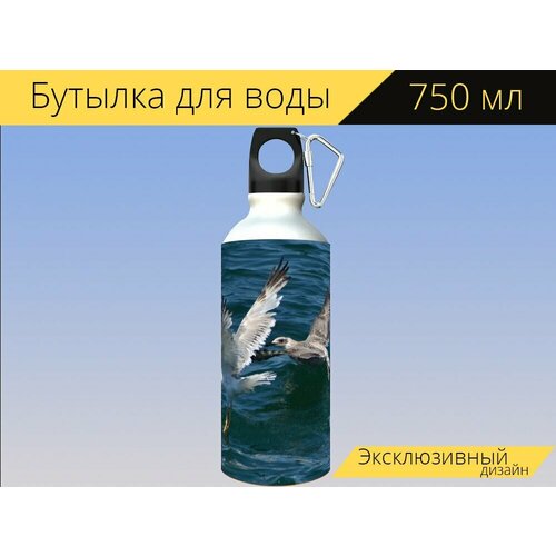 Бутылка фляга для воды "Чайки, птицы, крылья" 750 мл. с карабином и принтом