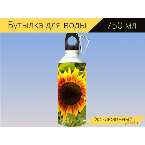 Бутылка фляга для воды "Подсолнухи, желтый, цветок" 750 мл. с карабином и принтом