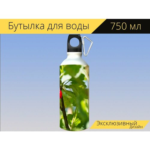 Бутылка фляга для воды "Смородина, красный, красная смородина" 750 мл. с карабином и принтом