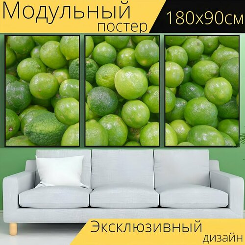 Модульный постер "Лаймы, цитрусовые, фрукты" 180 x 90 см. для интерьера