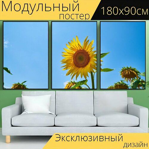 Модульный постер "Подсолнечник, желтый, солнце" 180 x 90 см. для интерьера