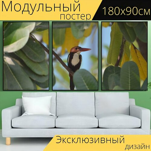 Модульный постер "Птица, зимородок, природа" 180 x 90 см. для интерьера