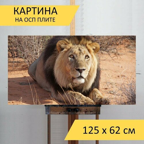 Картина на ОСП 125х62 см. "Лев, животное, сафари" горизонтальная, для интерьера, с креплениями