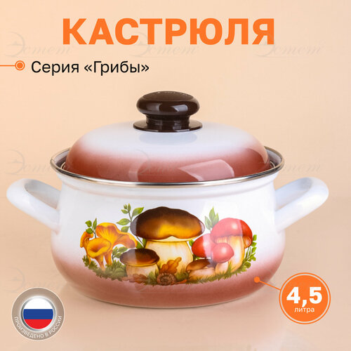 Кастрюля эмалированная для плиты 4.5 л