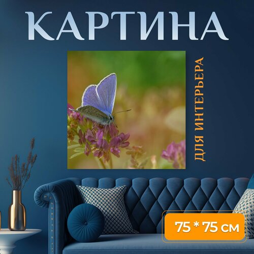 Картина на холсте "Голубоватый, бабочка, бабочки" на подрамнике 75х75 см. для интерьера