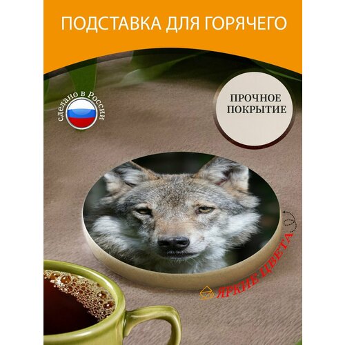 Подставка под горячее "Волк, хищник, европейский волк" 10 см. из блого мрамора