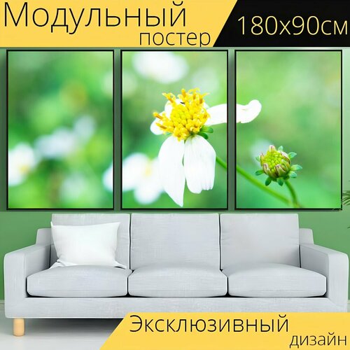 Модульный постер "Цветок, полевой цветок, макро фото" 180 x 90 см. для интерьера