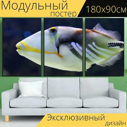 Модульный постер "Спинорог, пикассо загонной рыбы, рыбы" 180 x 90 см. для интерьера