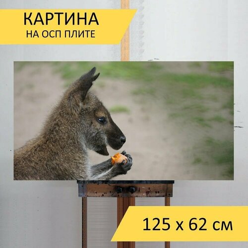 Картина на ОСП 125х62 см. "Кенгуру, млекопитающее, животное" горизонтальная, для интерьера, с креплениями