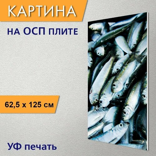 Вертикальная картина на ОСП "Сельдь, рыбы, порт" 62x125 см. для интерьериа