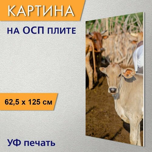 Вертикальная картина на ОСП "Телец, корова, крупный рогатый скот" 62x125 см. для интерьериа