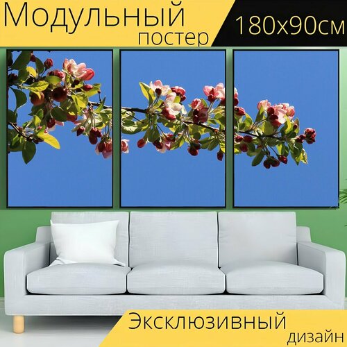Модульный постер "Весна, синее небо, яблоня" 180 x 90 см. для интерьера