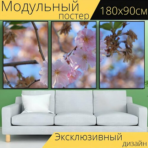 Модульный постер "Вишневое дерево, вишни в цвету, весна" 180 x 90 см. для интерьера