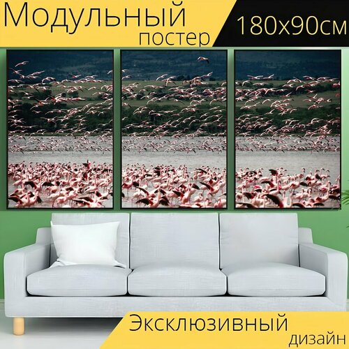 Модульный постер "Птица, фламинго, животное" 180 x 90 см. для интерьера
