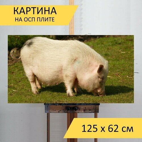 Картина на ОСП 125х62 см. "Свинья, кабан, пузатая свинья" горизонтальная, для интерьера, с креплениями