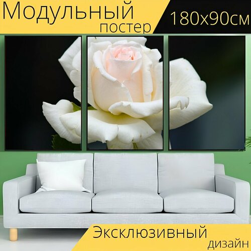 Модульный постер "Роза, цветы, букет" 180 x 90 см. для интерьера