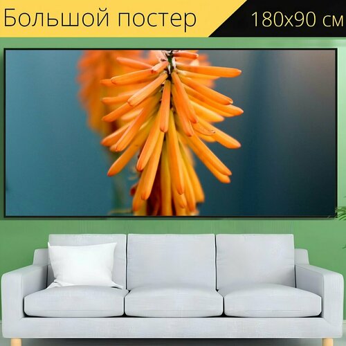 Большой постер "Цветок, цвести, апельсин" 180 x 90 см. для интерьера