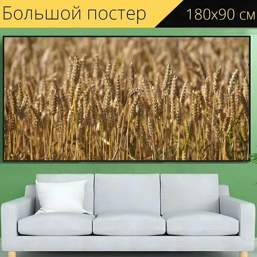 Большой постер "Пшеница, пшеничное поле, природа" 180 x 90 см. для интерьера
