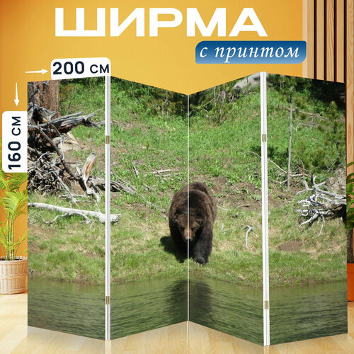 Ширма перегородка с принтом "Нести, гризли, пейзаж" на холсте - 200x160 см. для зонирования, раскладная