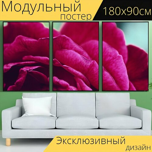 Модульный постер "Роза, розовый, цветок" 180 x 90 см. для интерьера