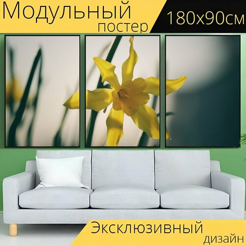 Модульный постер "Макрос, цветок, цвести" 180 x 90 см. для интерьера