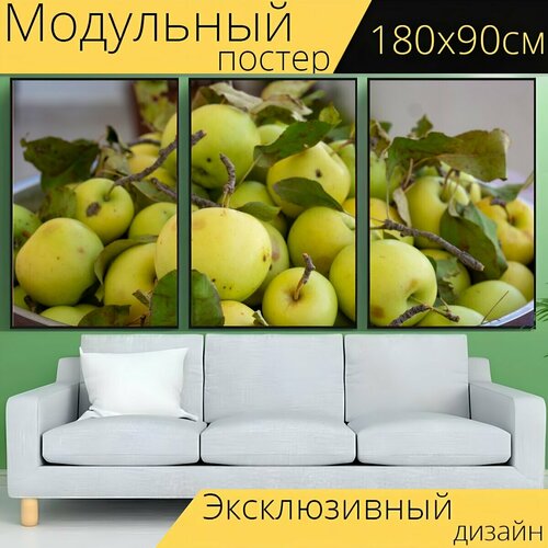 Модульный постер "Свежесобранные яблоки, яблоки, чаша" 180 x 90 см. для интерьера