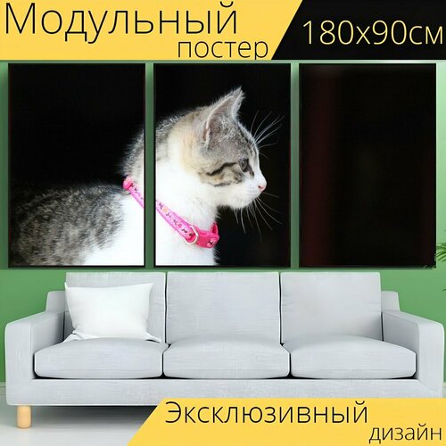 Модульный постер "Котенок, кошка, животное" 180 x 90 см. для интерьера