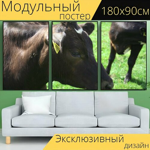 Модульный постер "Корова, трава, млекопитающее" 180 x 90 см. для интерьера