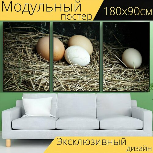 Модульный постер "Яйца, ферма, деликатес" 180 x 90 см. для интерьера