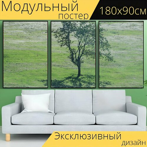 Модульный постер "Дерево, поле, тень" 180 x 90 см. для интерьера