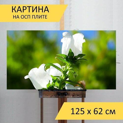 Картина на ОСП 125х62 см. "Цветы, цветок, белый" горизонтальная, для интерьера, с креплениями