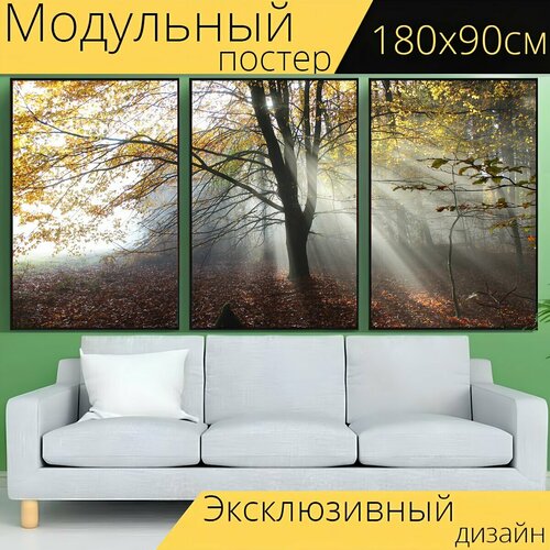 Модульный постер "Осенний лес, туман, подсветка" 180 x 90 см. для интерьера