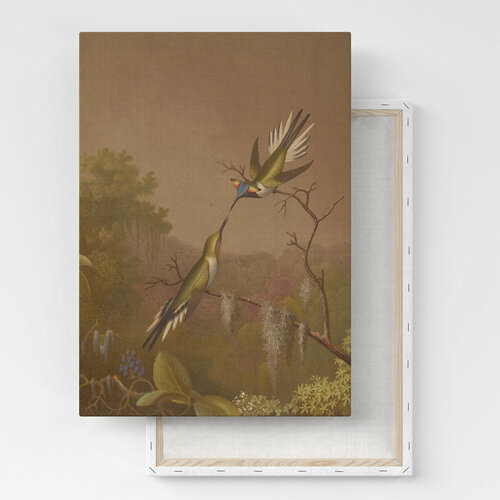 Картина на холсте, репродукция / Мартин Джонсон Хед - Brazilian Hummingbirds II / Размер 60 x 80 см
