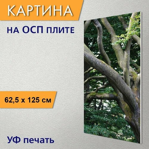 Вертикальная картина на ОСП "Дерево, племя, природа" 62x125 см. для интерьериа