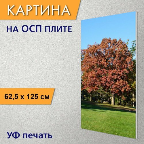 Вертикальная картина на ОСП "Осень, деревья, красный" 62x125 см. для интерьериа