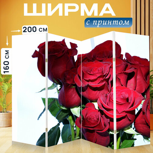 Ширма перегородка с принтом "Розы, букет, цветы" на холсте - 200x160 см. для зонирования, раскладная