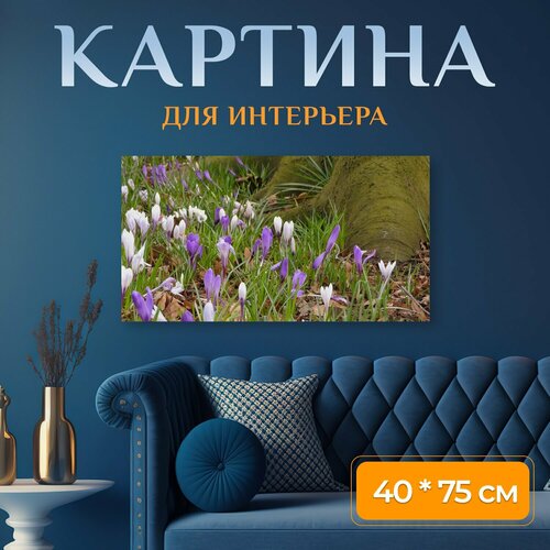 Картина на холсте "Крокус, шафран, весенние цветы" на подрамнике 75х40 см. для интерьера