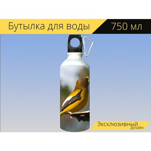 Бутылка фляга для воды "Кормушка, птица, окуни" 750 мл. с карабином и принтом